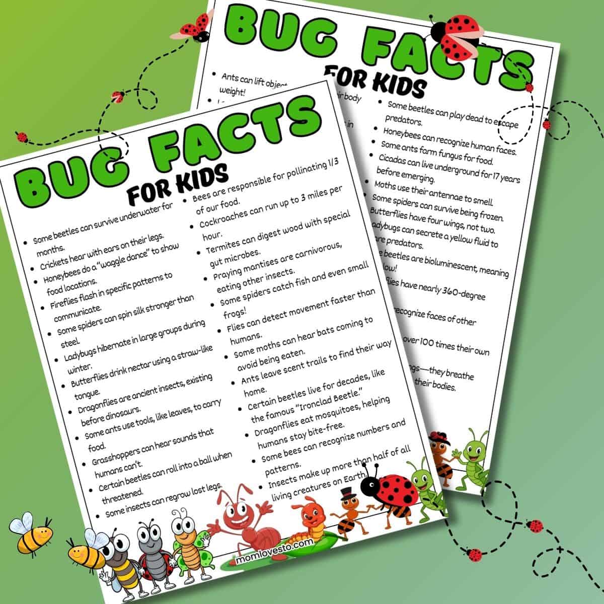 Bug Facts for Kids: 50 Cool and Creepy-Crawly Facts - Mom Loves To...