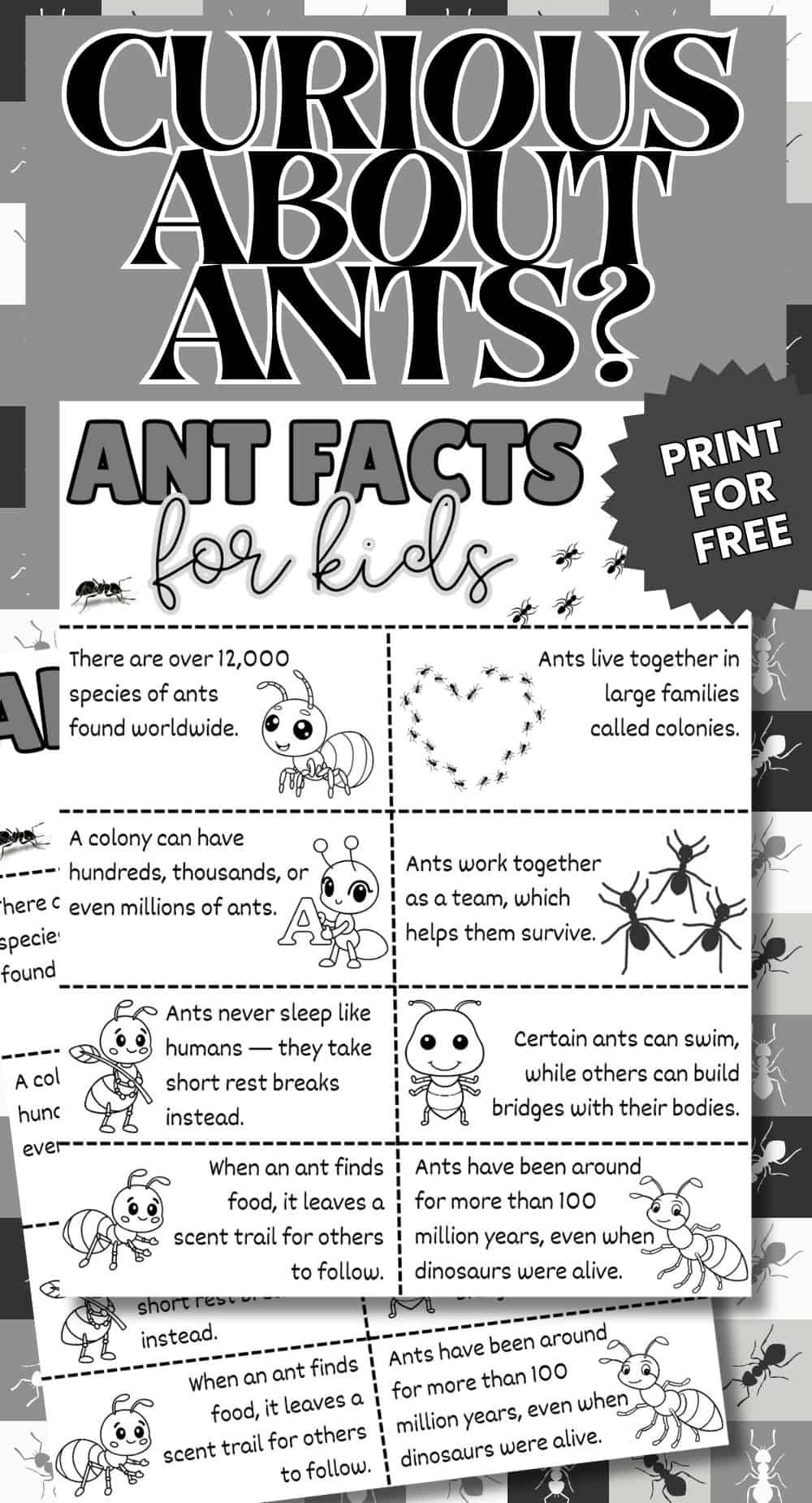 Ant Facts for Kids: Tiny Insects, Big Surprises! - Mom Loves To...
