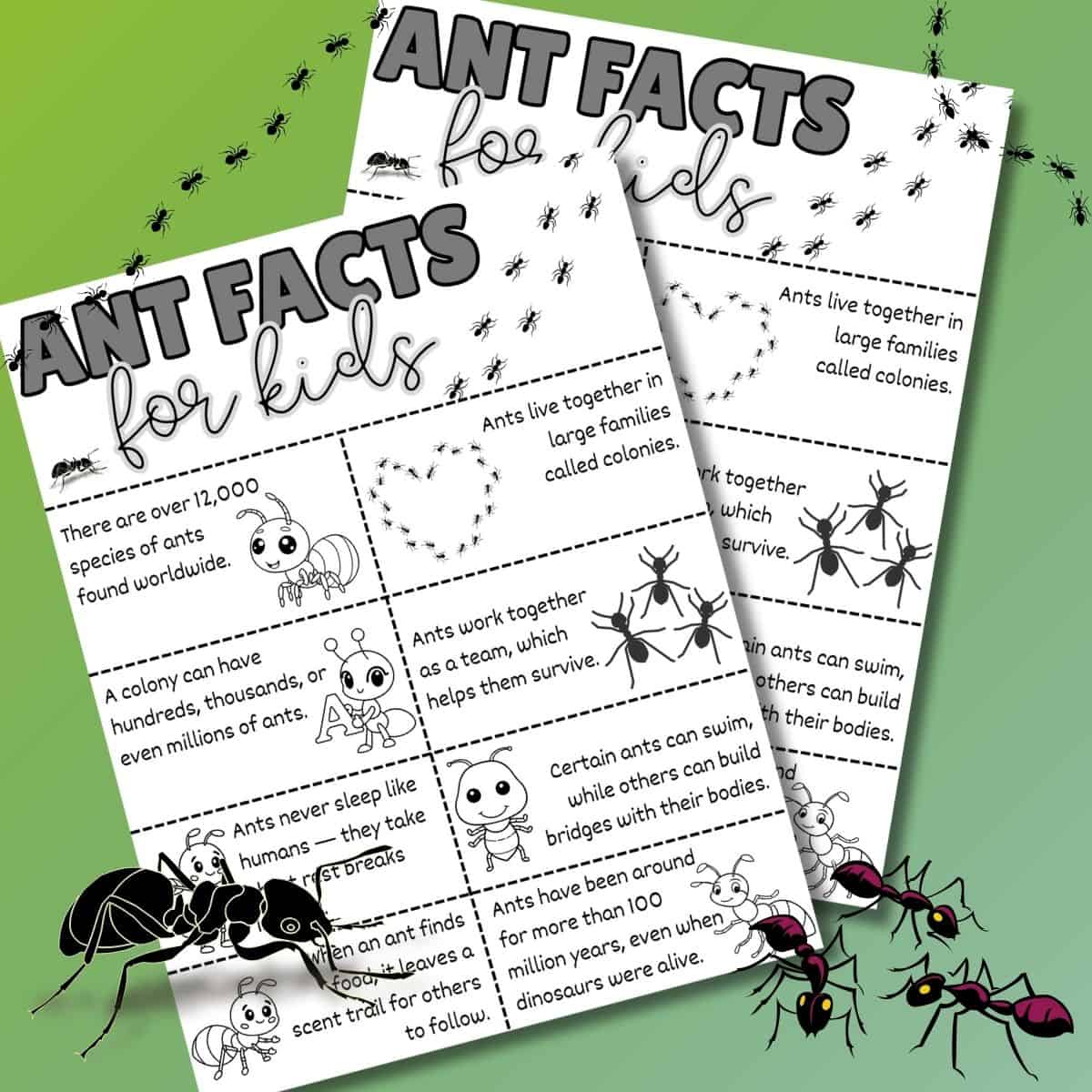 Ant Facts for Kids: Tiny Insects, Big Surprises! - Mom Loves To...