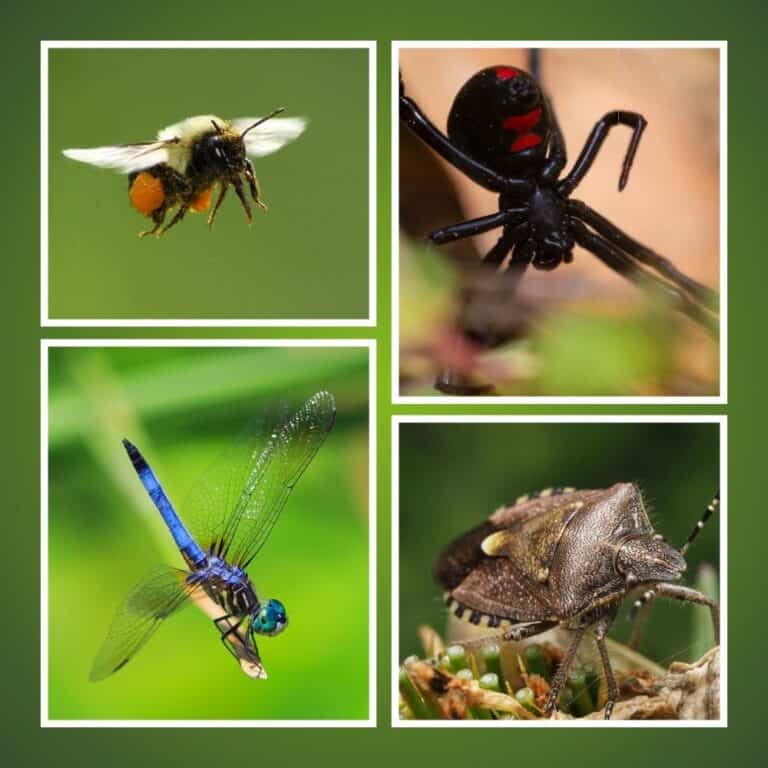 Spring Archives - Mom Loves To...