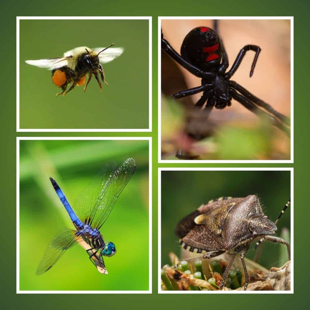 Spring Archives - Mom Loves To...