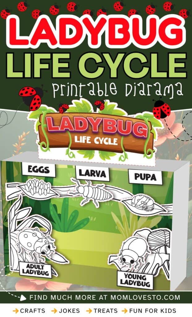 Ladybug Life Cycle Printable Diorama – A Fun 3D Learning Craft for Kids ...
